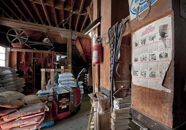 Zoo Food - In The Hills