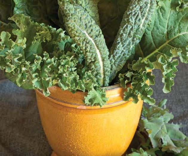 Headwaters Farm Fresh Map - In The Hills