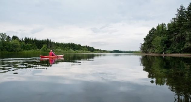 Kayaking on Island Lake - In The Hills