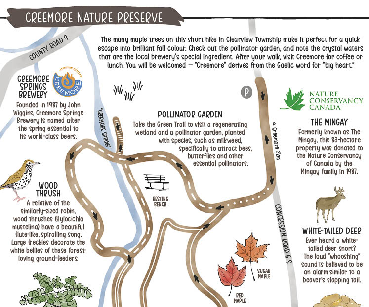 Creemore Nature Preserve - In The Hills