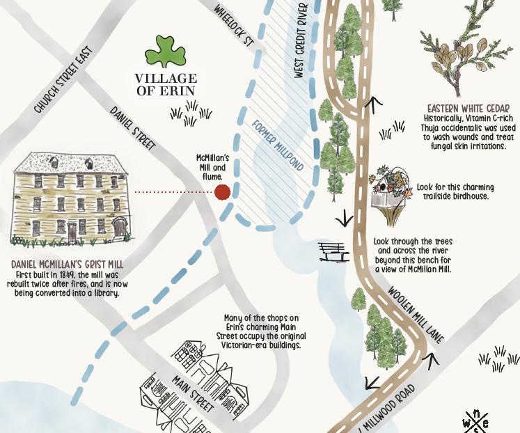 Erin's Woollen Mill Trail - In The Hills