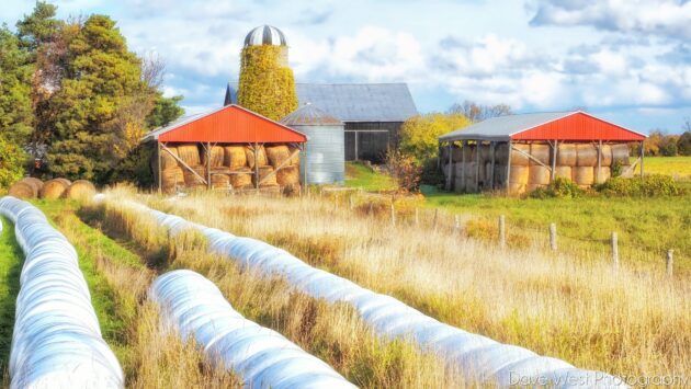 The Farmers' Way - In The Hills