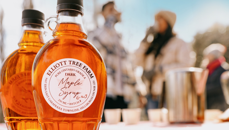 Weekend Maple Syrup Experience - In The Hills